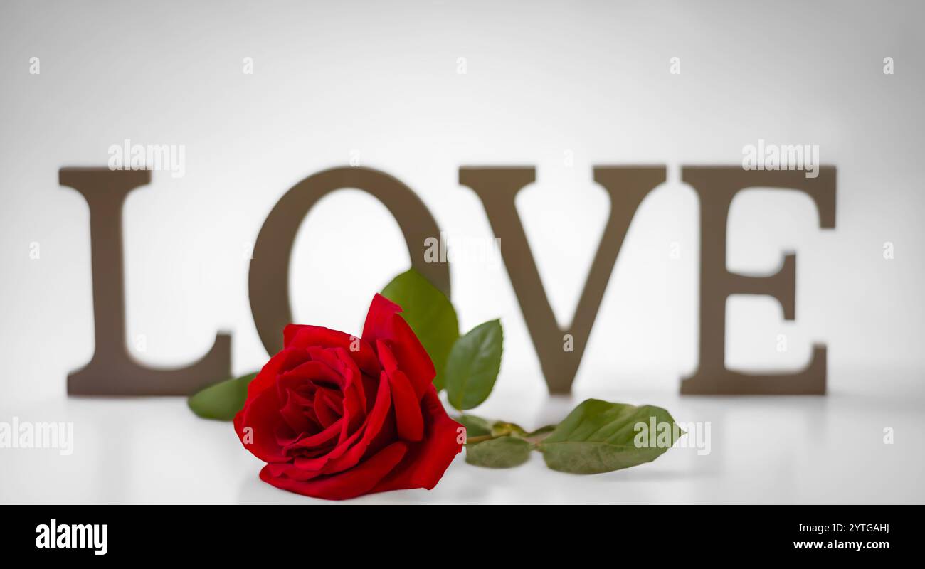 Love and Rose Stock Photo - Alamy