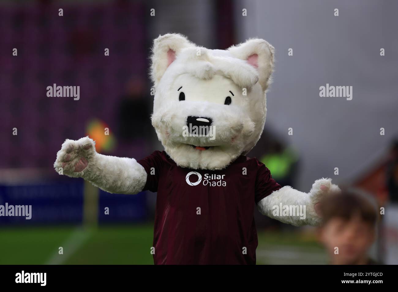 7th December 2024; Tynecastle Park, Edinburgh, Scotland: Scottish ...