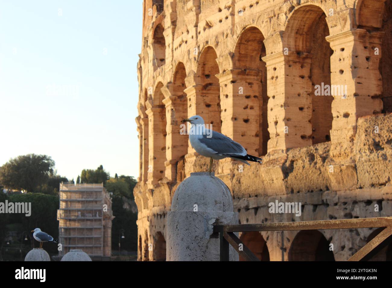 Rome, Coliseum, Roma, Colosseo, Italy, Historic, Monument, Photography ...