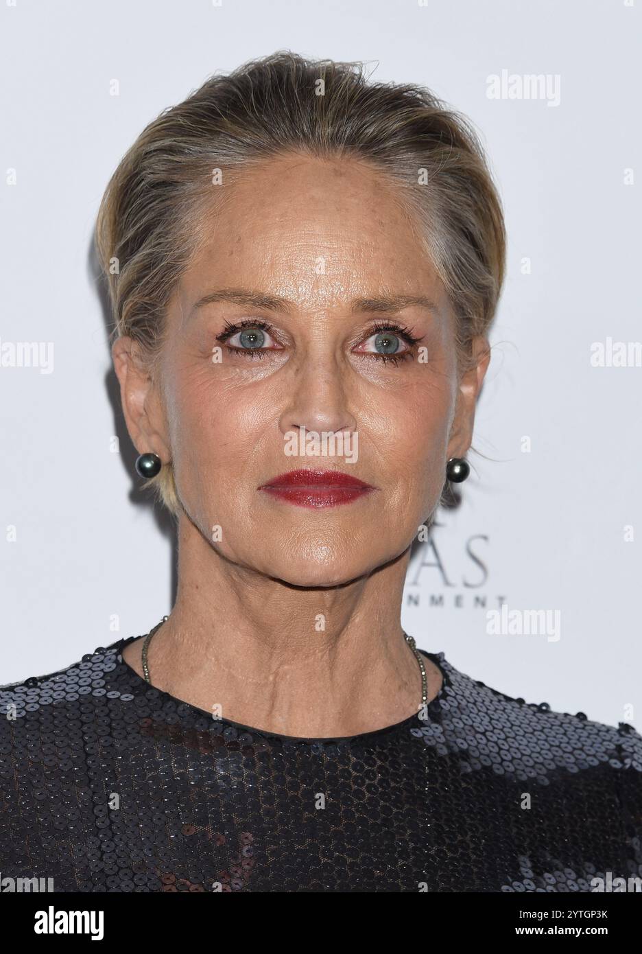 Beverly Hills, USA. 06th Dec, 2024. Sharon Stone arriving to the 38th ...