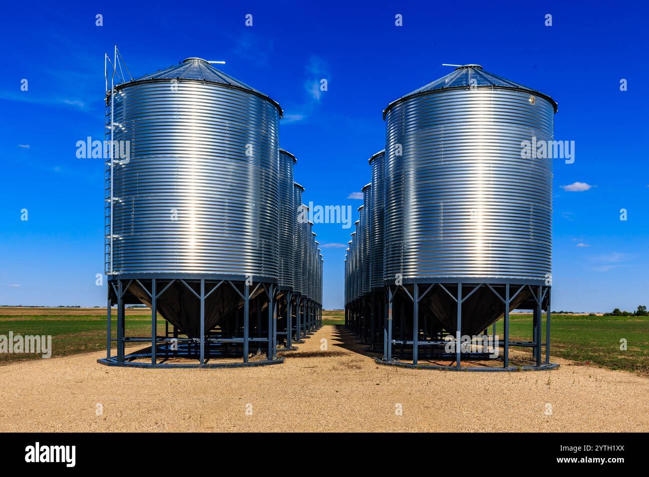 Two large silos are standing in a field. The silos are empty and are ...