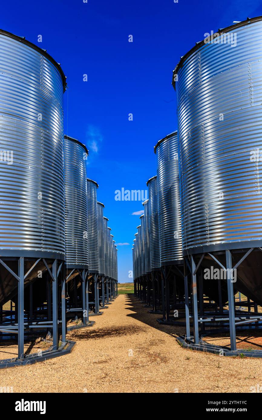 A row of large metal tanks are lined up in a field. The tanks are ...