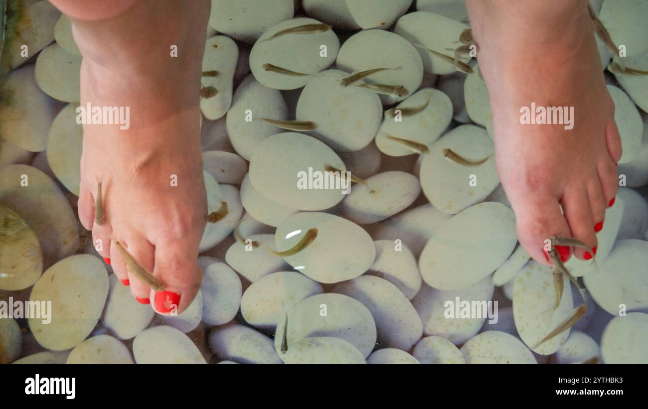 Fish pedicures are a type of foot treatment that aims to give people ...