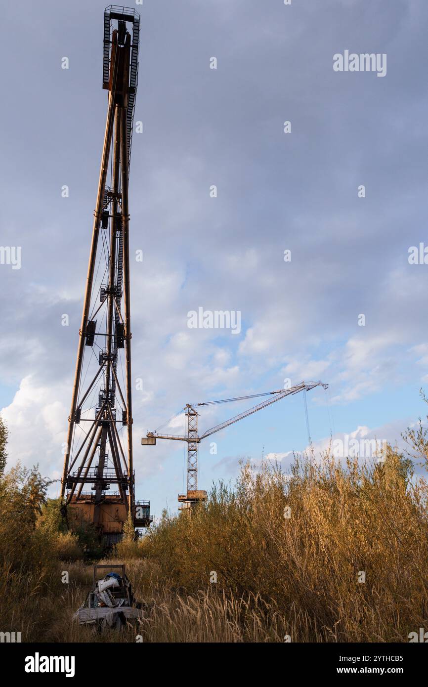 Abandoned Cranes Amidst Overgrown Terrain Stock Photo - Alamy