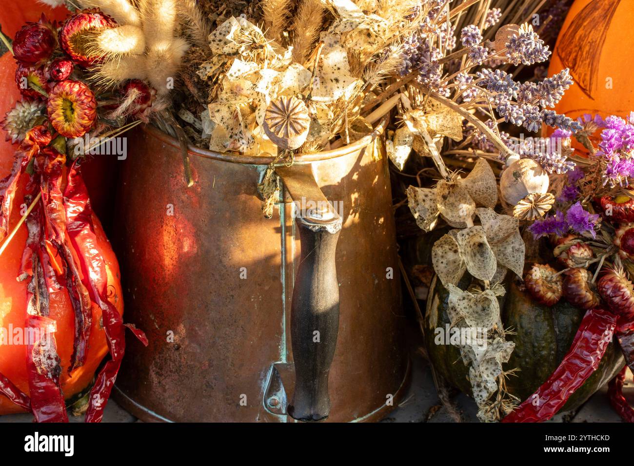 Natural close up found still life of dried grasses and seed-heads in ...
