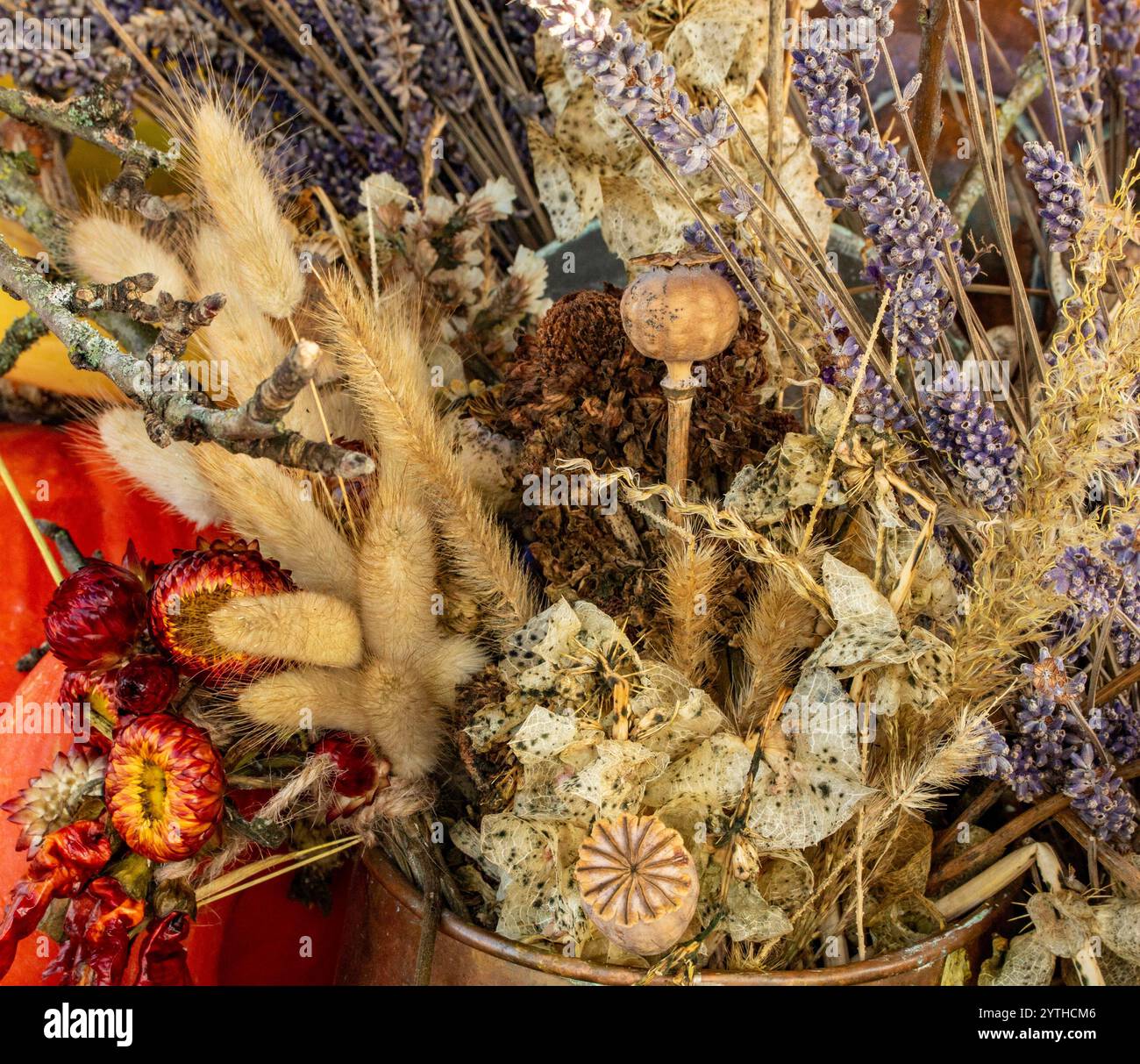 Natural close up found still life of dried grasses and seed-heads in ...