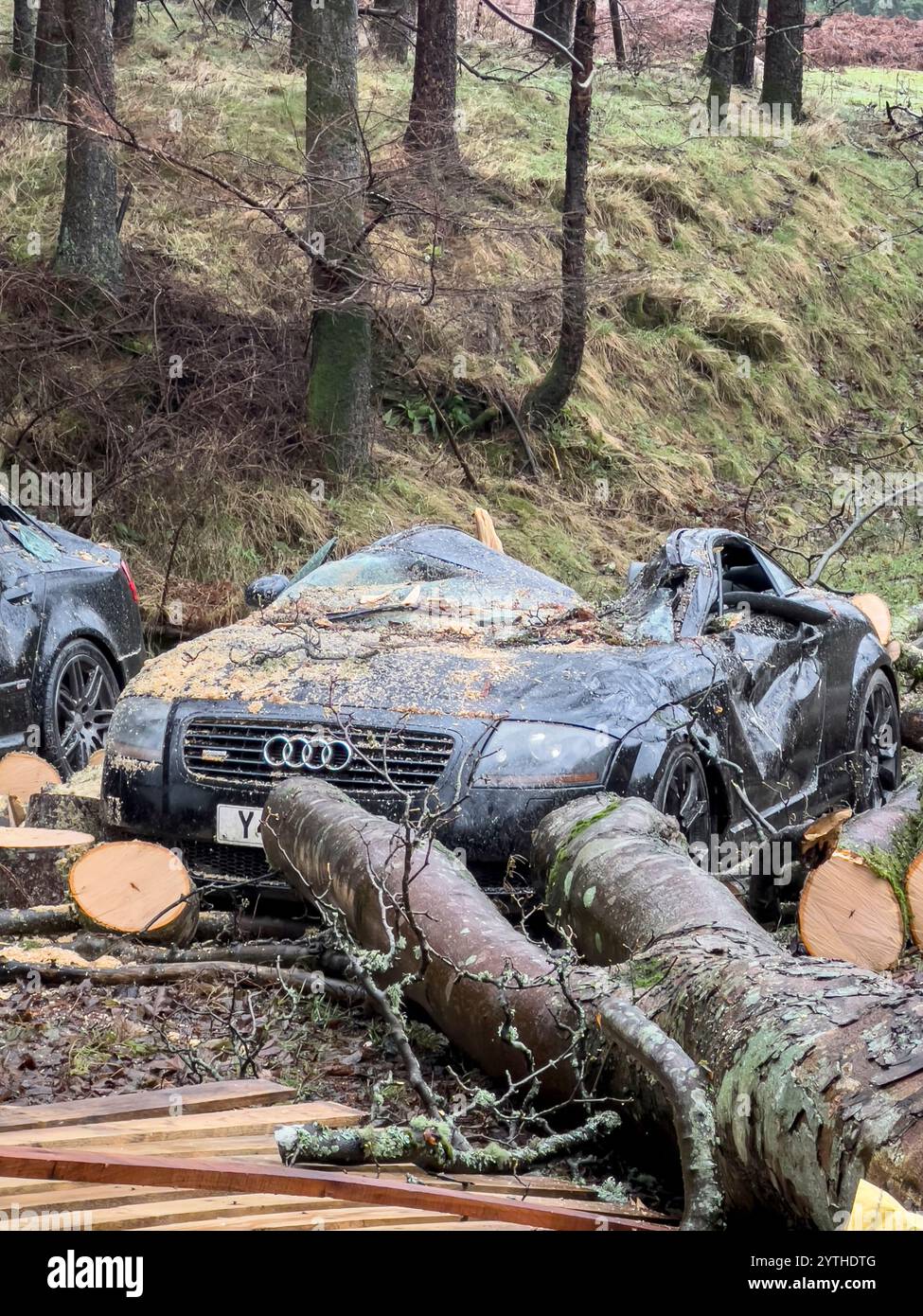 Storm darragh fourth named hi-res stock photography and images - Alamy