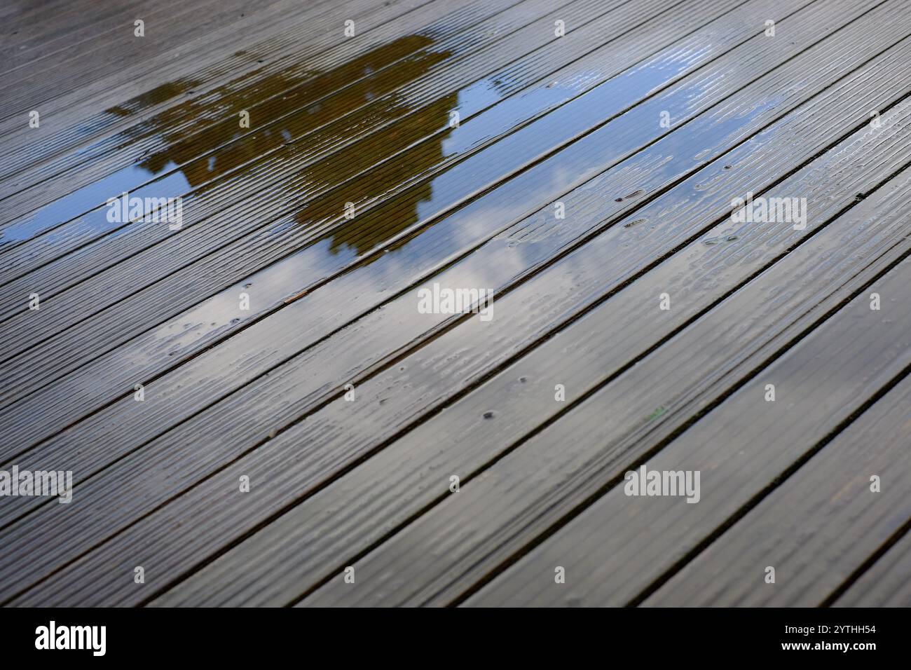 Water pooling forming a puddle on timber decking not draining Stock ...