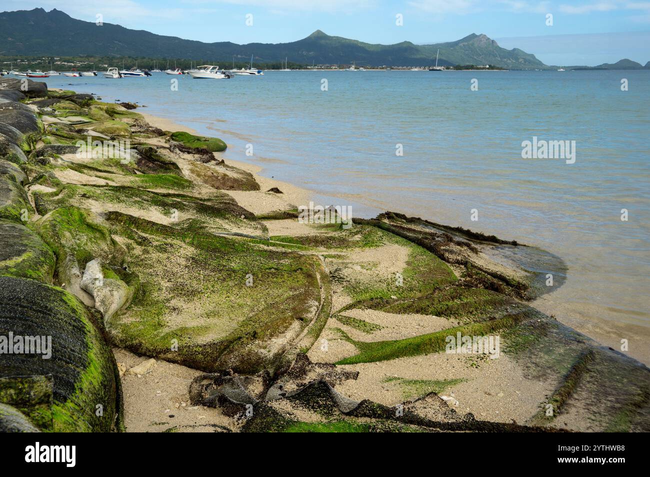 Geotextile bags filled with sand placed along the shoreline for coastal ...