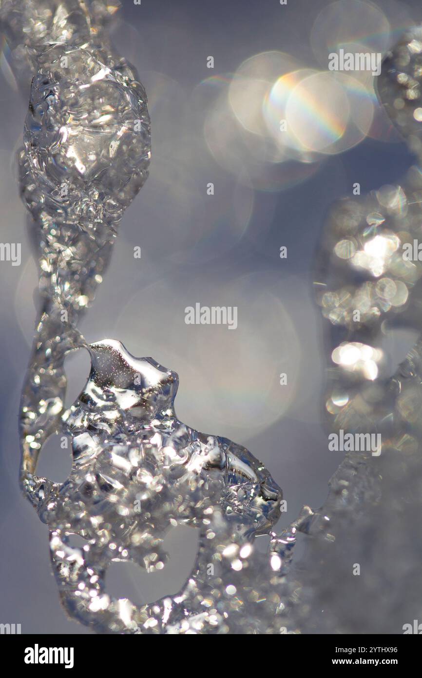 Ice whimsical natural sculpture. Frozen ice owner and dog in details ...