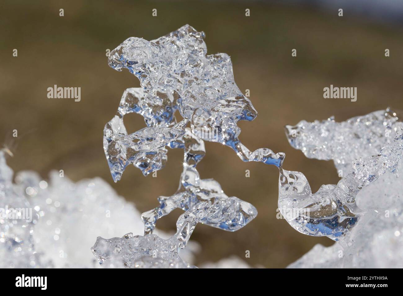 Ice whimsical natural sculpture. Frozen ice sculpture look like a ...