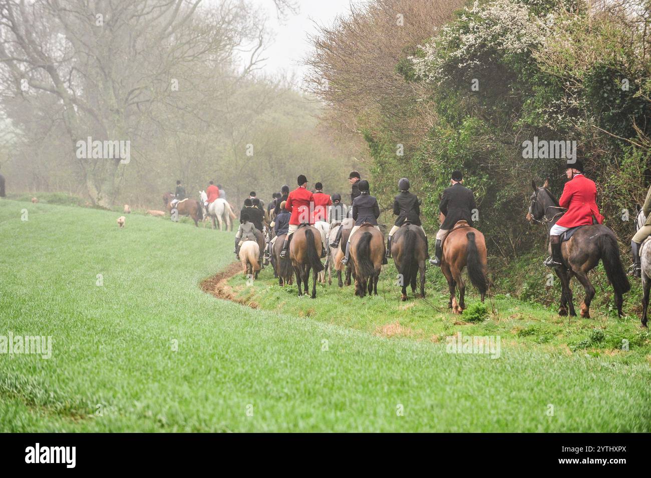 British hunting tradition hi-res stock photography and images - Alamy