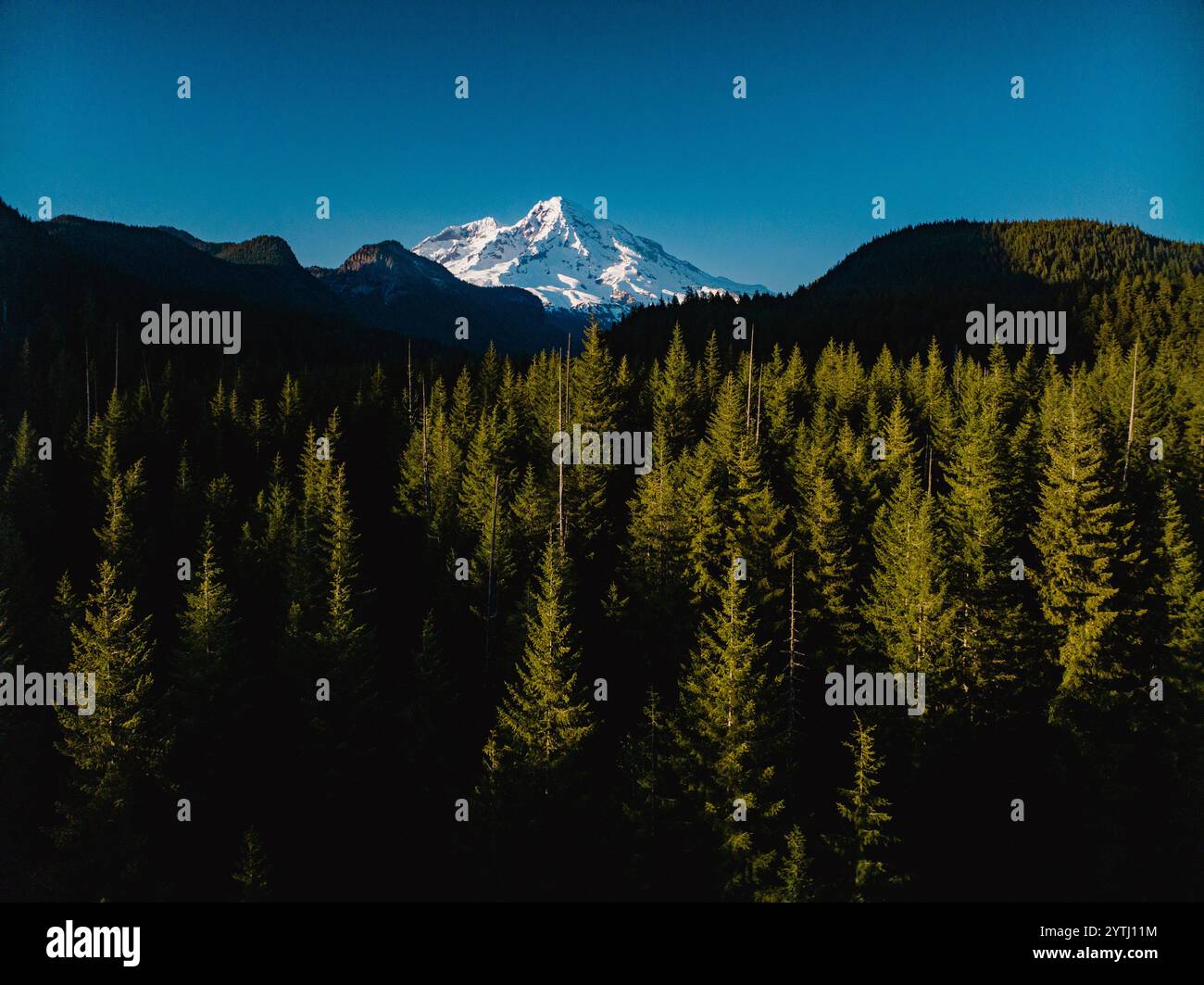 MAY 2024, MOUNT RANIER NATIONAL PARK, Washington - view of Mount Ranier ...