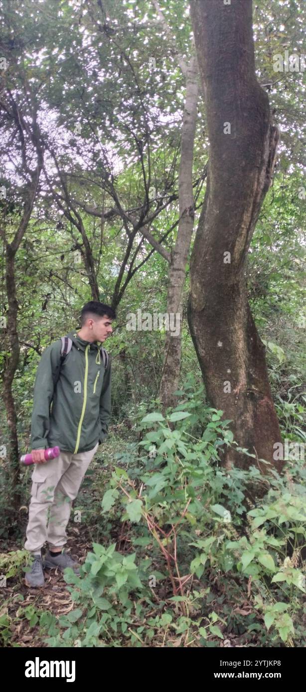 Riparium hi-res stock photography and images - Alamy