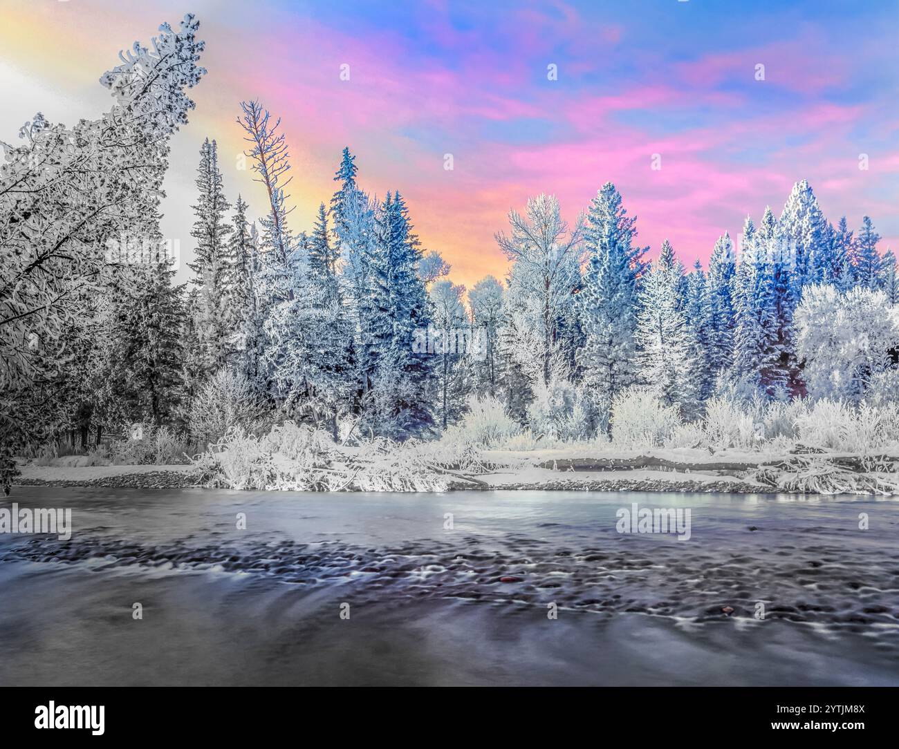 winter sunrise and frosted trees along the north fork blackfoot river ...