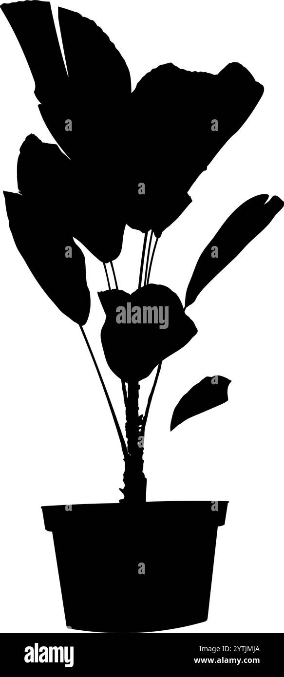 Plant and pot silhouette hi-res stock photography and images - Alamy