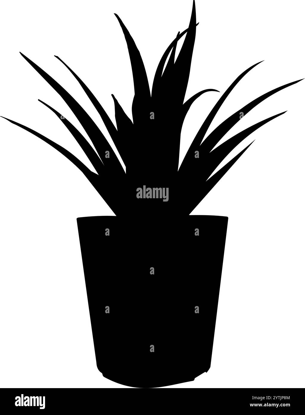Potted plant silhouette, Sansewieria silhouette Stock Vector Image & Art - Alamy