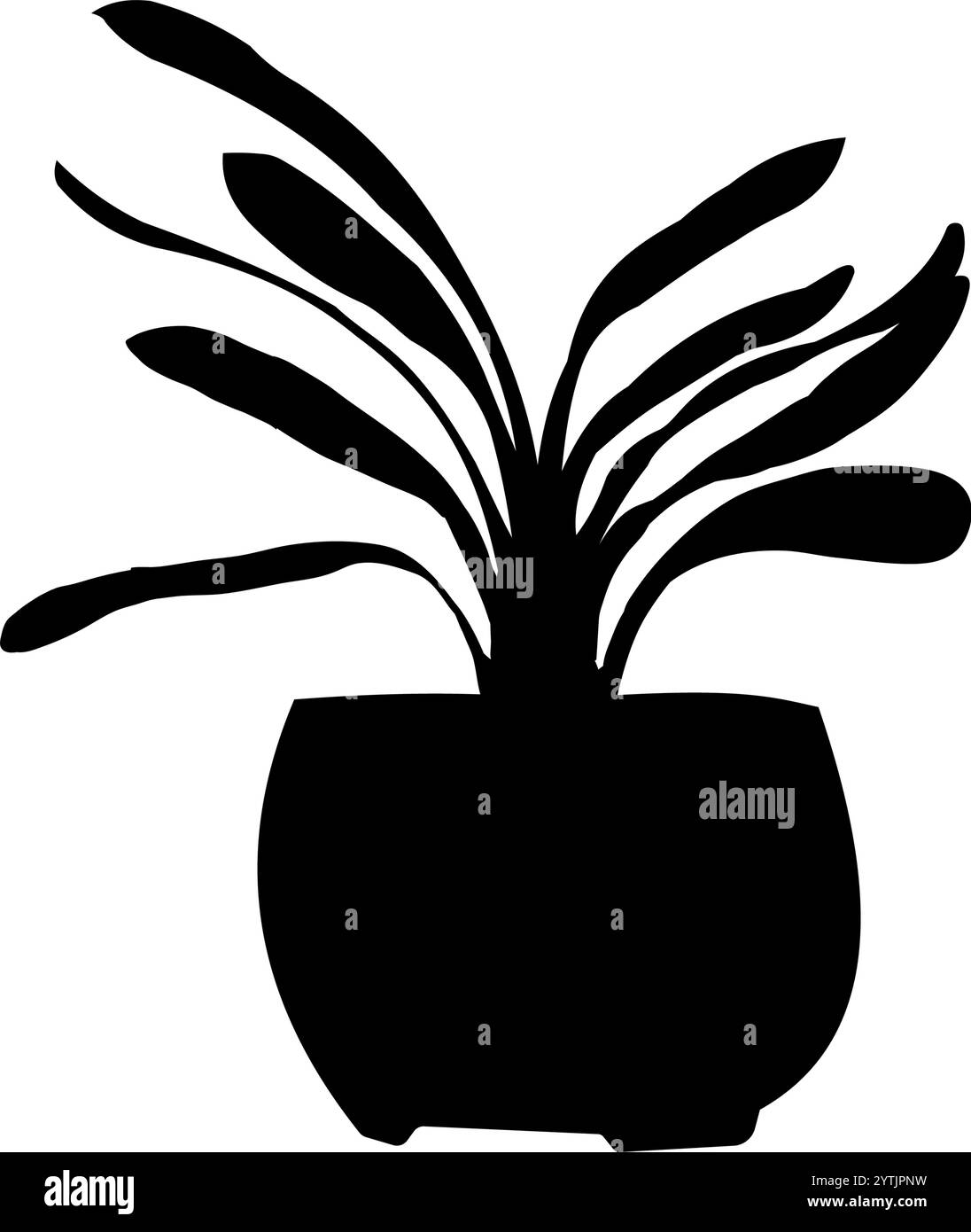 Potted plant silhouette, Sansewieria silhouette Stock Vector Image & Art - Alamy