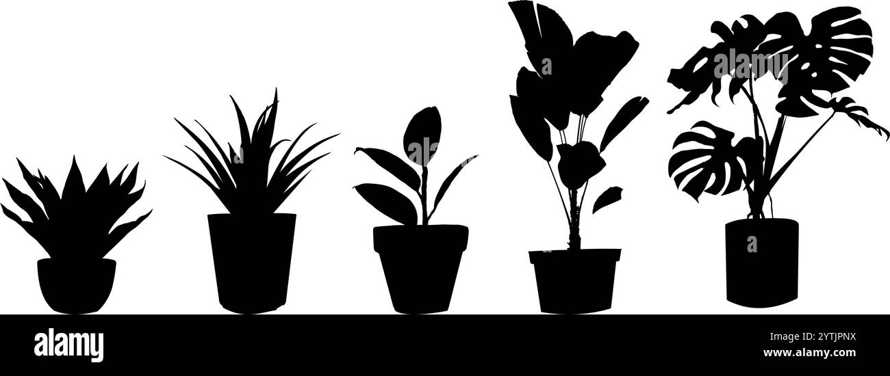 Set of potted plant silhouette Stock Vector Image & Art - Alamy