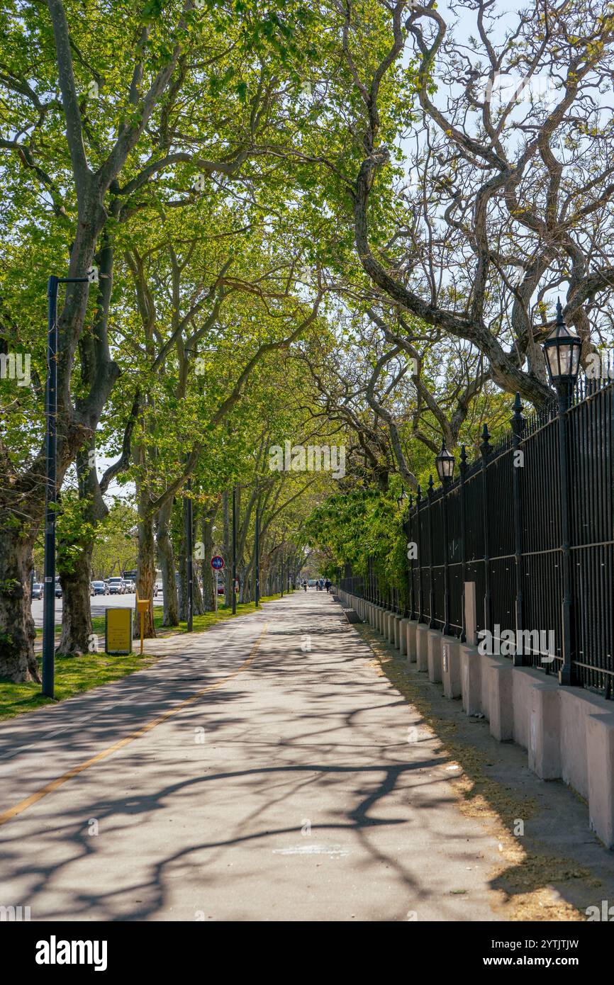 Sidewalk with old trees and bicycle path with railings along the entire ...