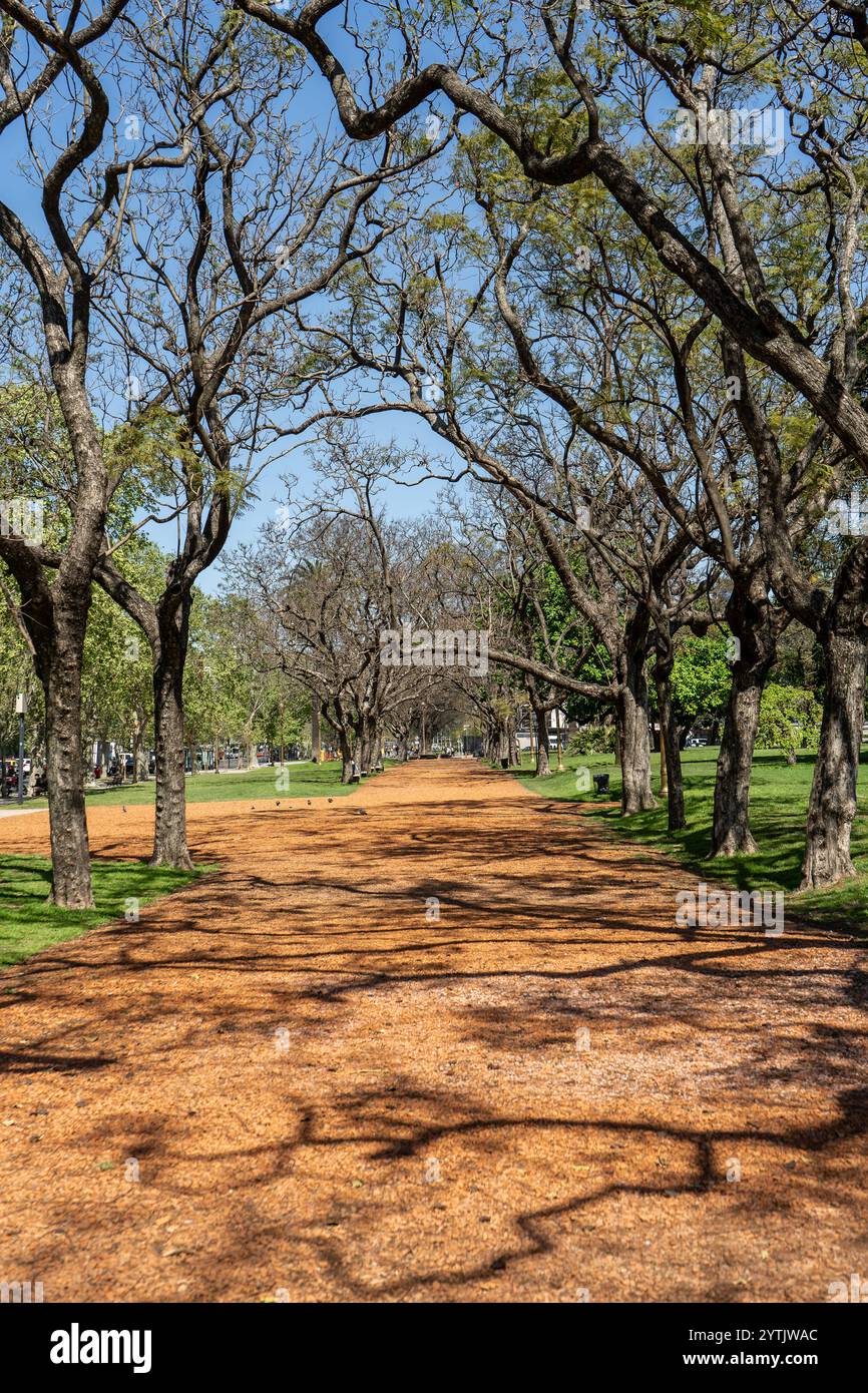 A Brick dust pedestrian path with trees on the sides in a square Stock ...