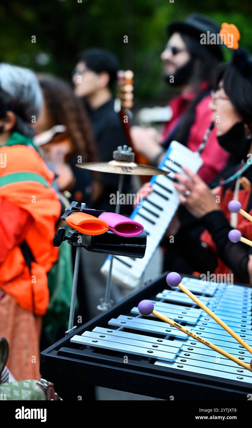 Multi-talented Musician Ueno Park Tokyo Japan Stock Photo - Alamy