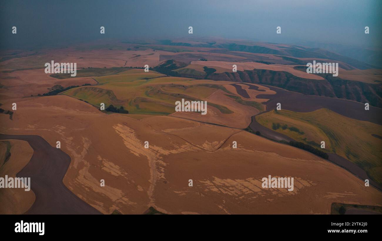 JULY 2024, PALOUSE, WASHINGTON - Aerial view of farm fields of wheat in ...