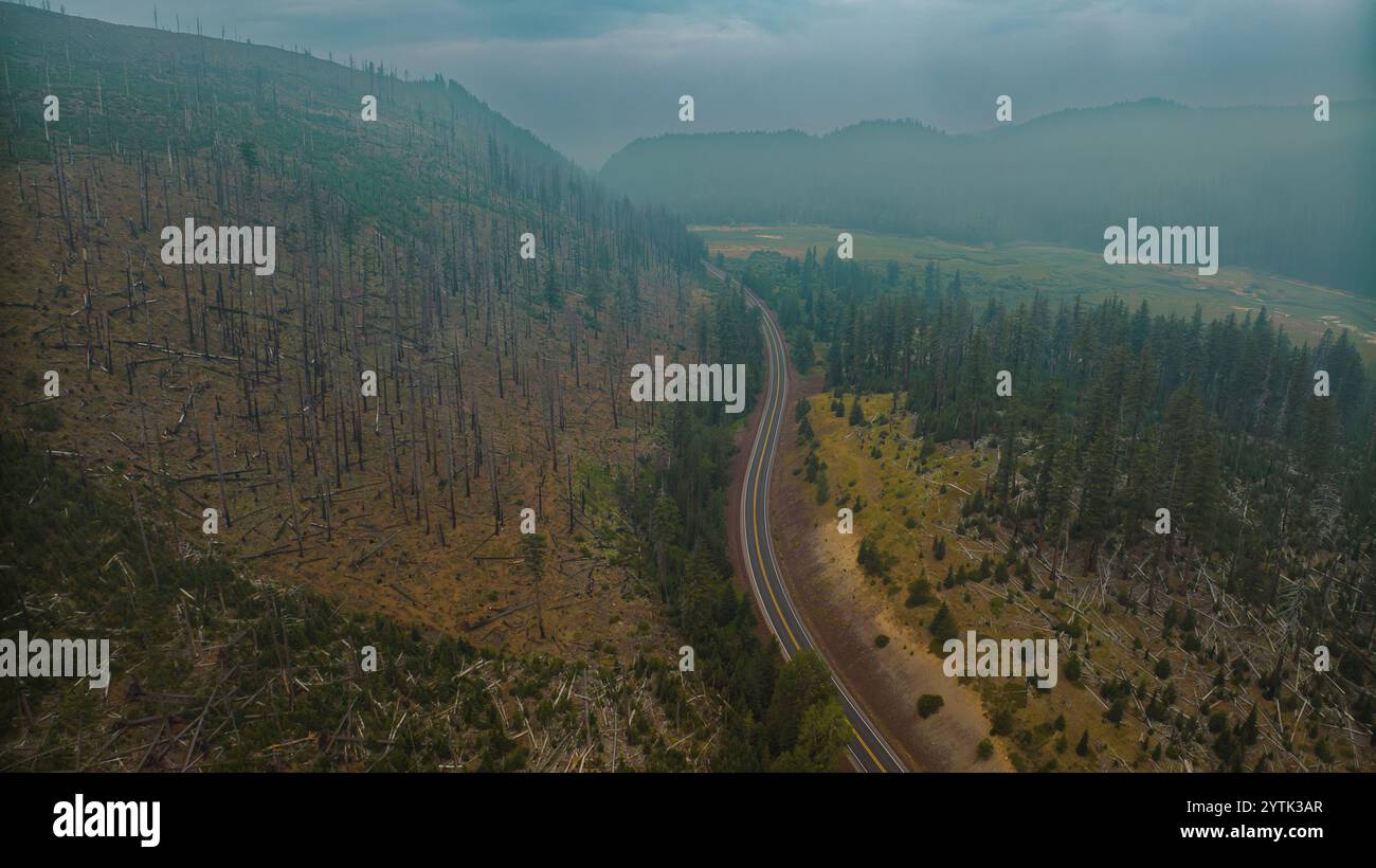 JULY 2024, CENTRAL OREGON - Route 120/26 - deforested, devestation from ...