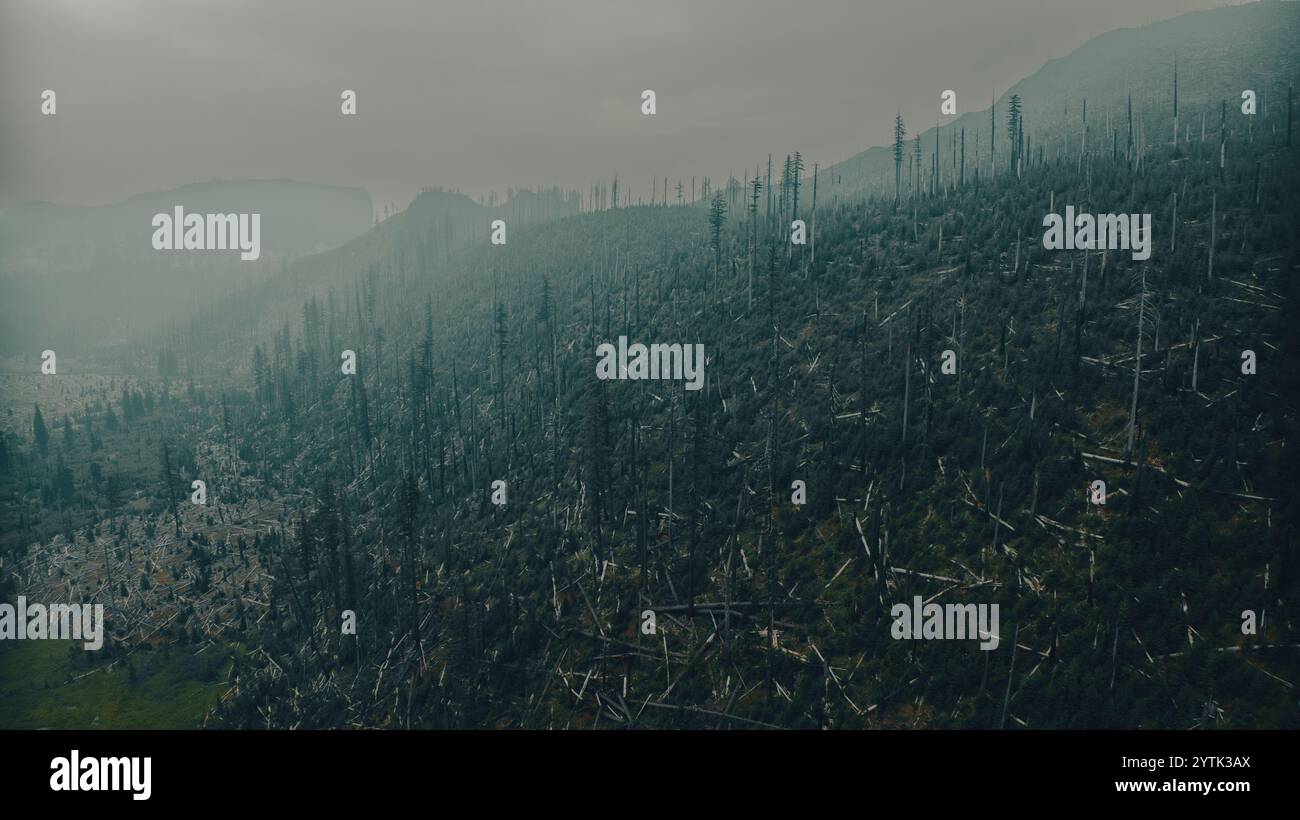 JULY 2024, CENTRAL OREGON - Route 120/26 - deforested, devestation from ...