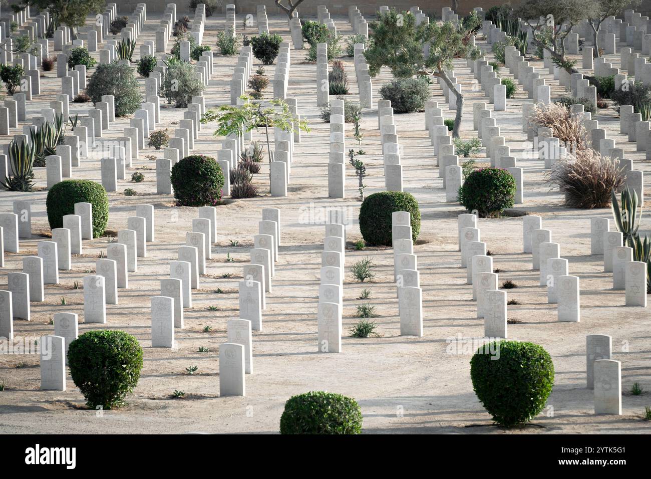 A solemn view of the El Alamein War Cemetery, with neatly aligned ...