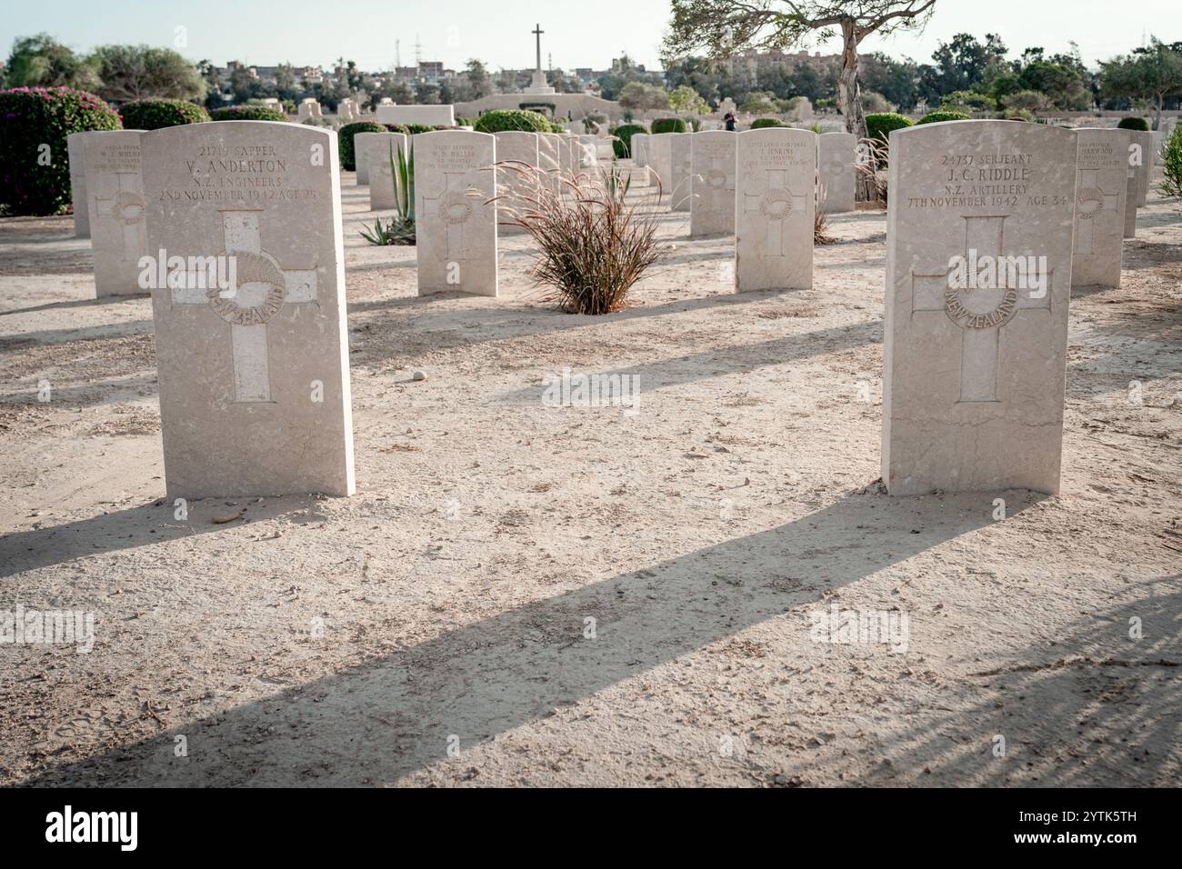 Gravestones war graves soldiers hi-res stock photography and images - Alamy