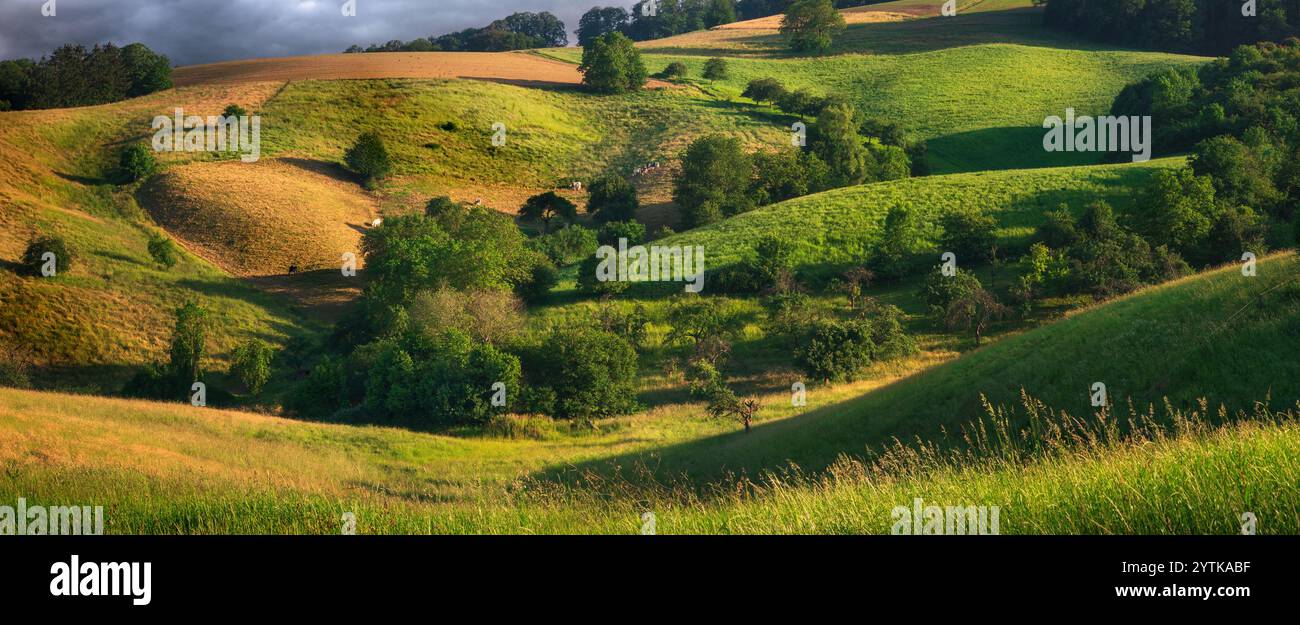Rolling hills, a rural paradise with green meadows, yellow fields and ...