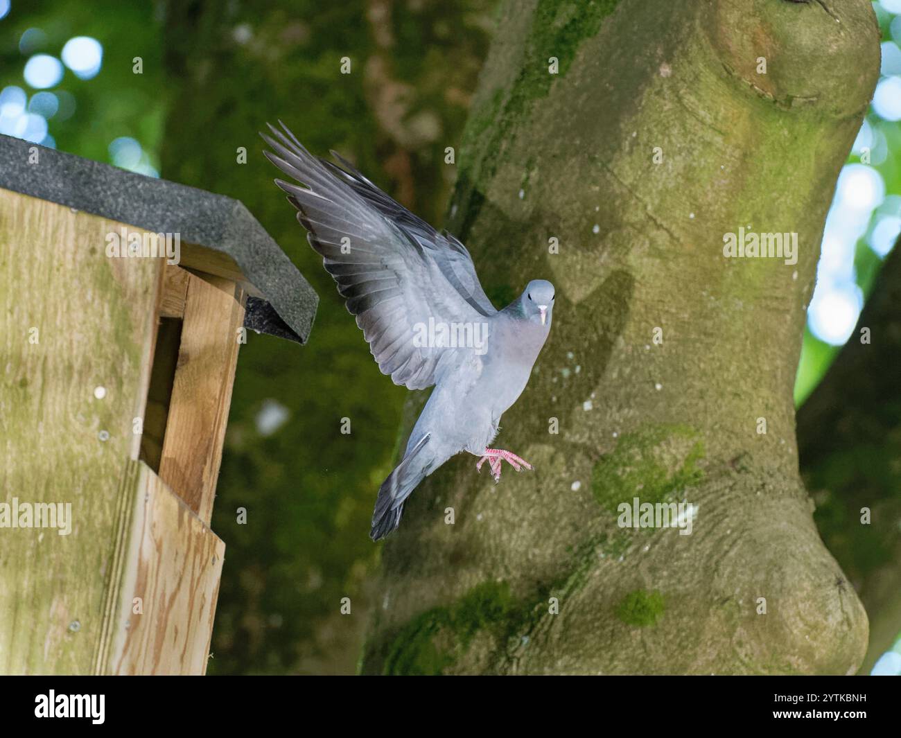 Flying green boxes hi-res stock photography and images - Alamy