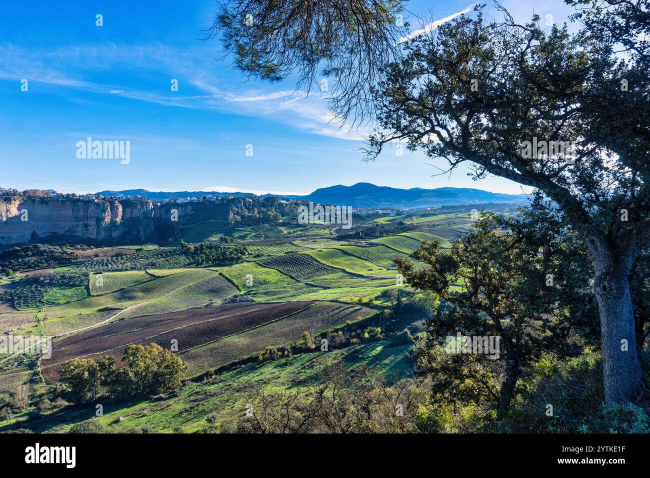 Valley with green fields of grass and mountains Stock Photo - Alamy