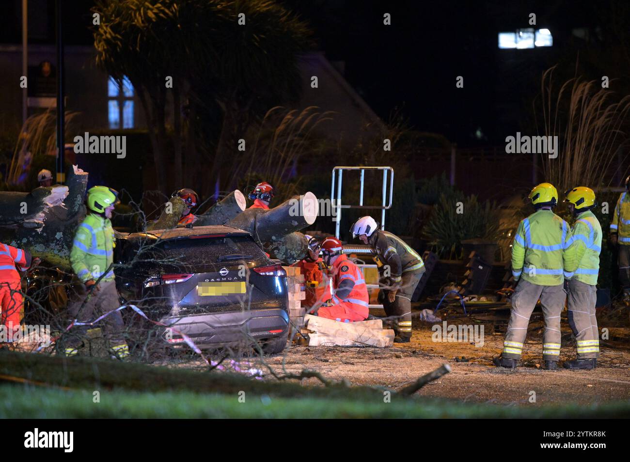 Storm darragh killed hi-res stock photography and images - Alamy