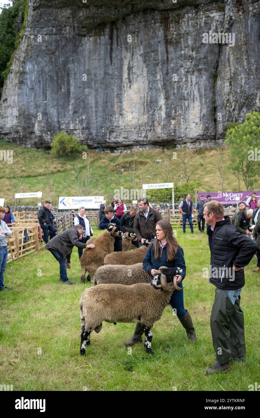 Sheep being shown at the 2024 Kilnsey Show under the shadow of Kilnsey ...