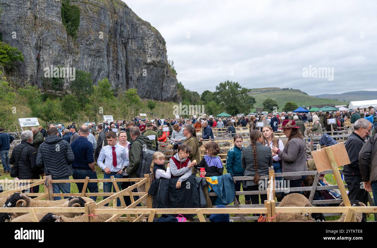 Sheep being shown at the 2024 Kilnsey Show under the shadow of Kilnsey ...