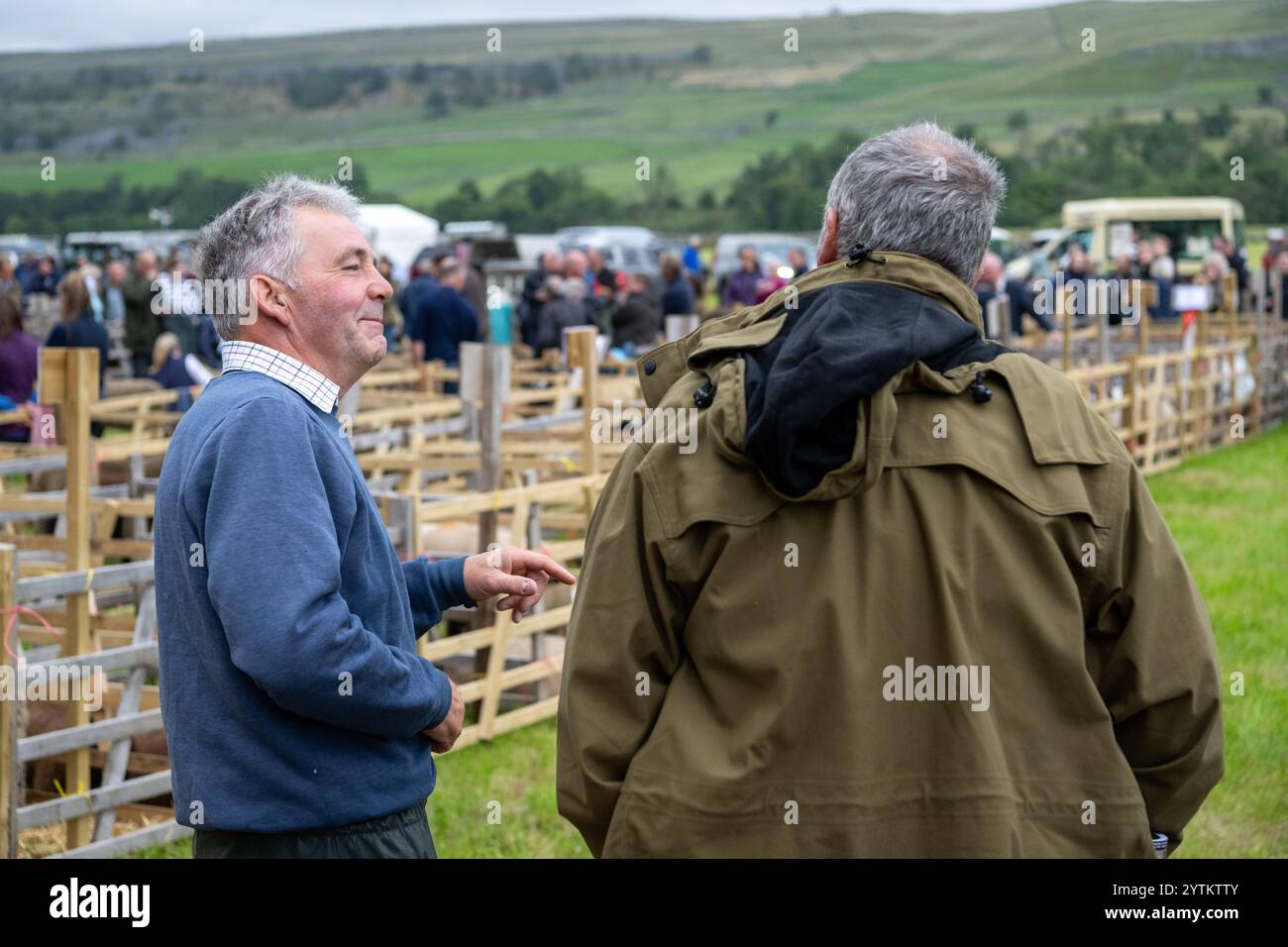 Sheep being shown at the 2024 Kilnsey Show under the shadow of Kilnsey ...