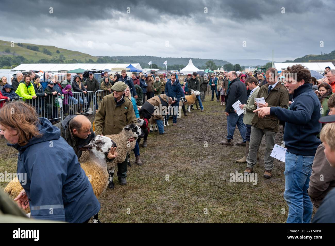 Sheep being shown at the 2024 Kilnsey Show under the shadow of Kilnsey ...