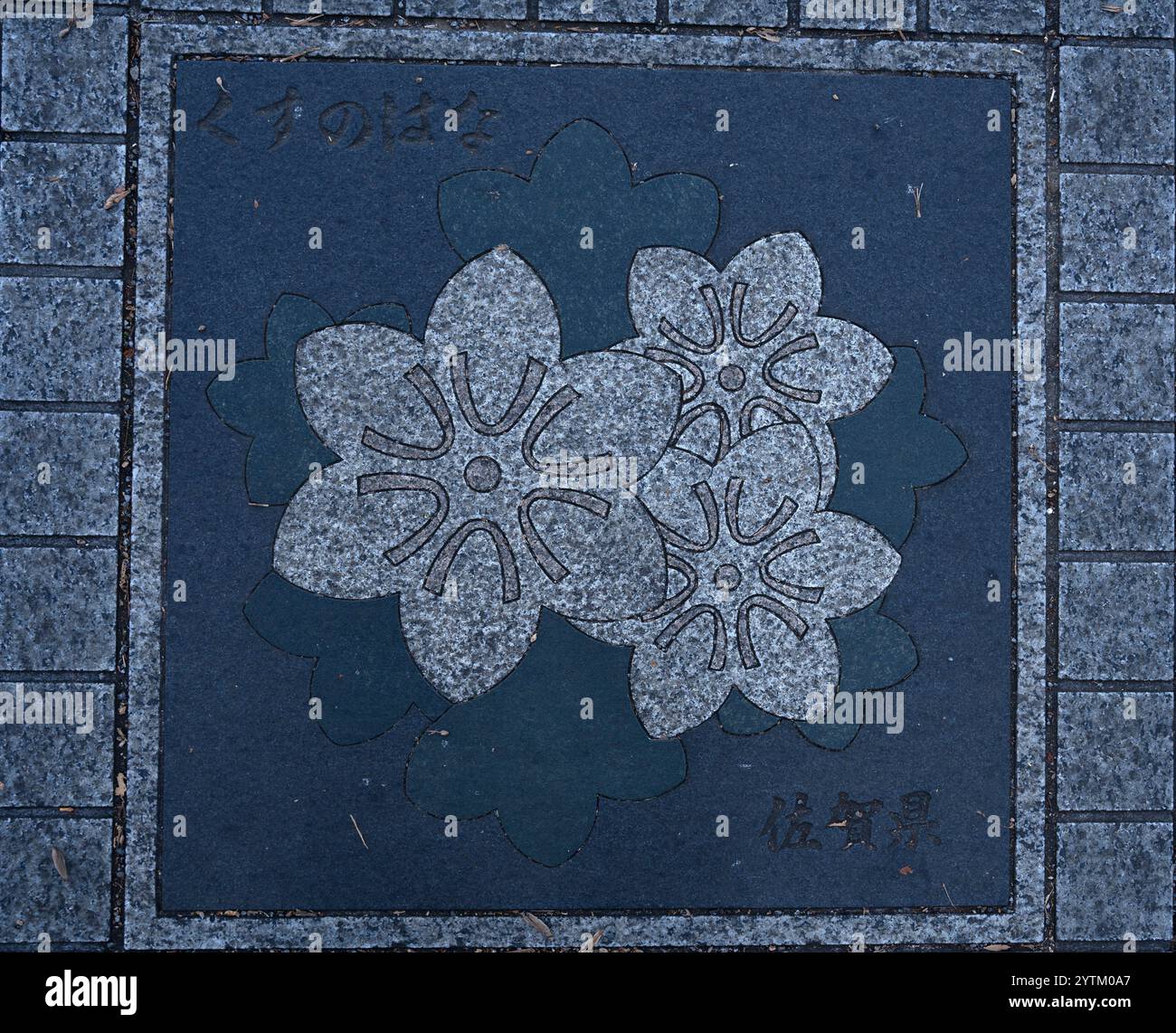 Paving slabs with a pattern in Tokyo, Japan. Streets and roads in ...