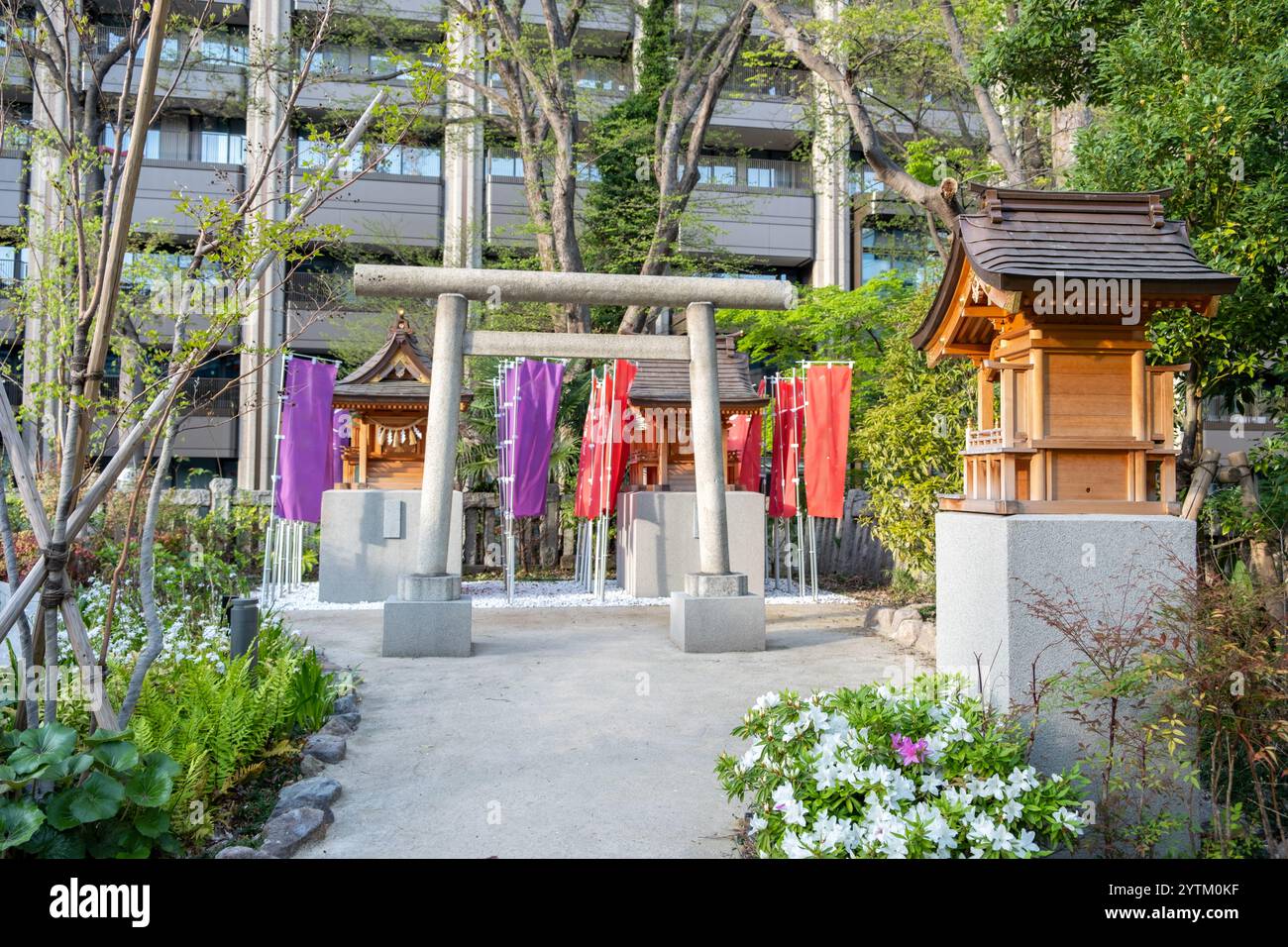 Traditional Shinto shrine with stone torii gate and red and purple ...
