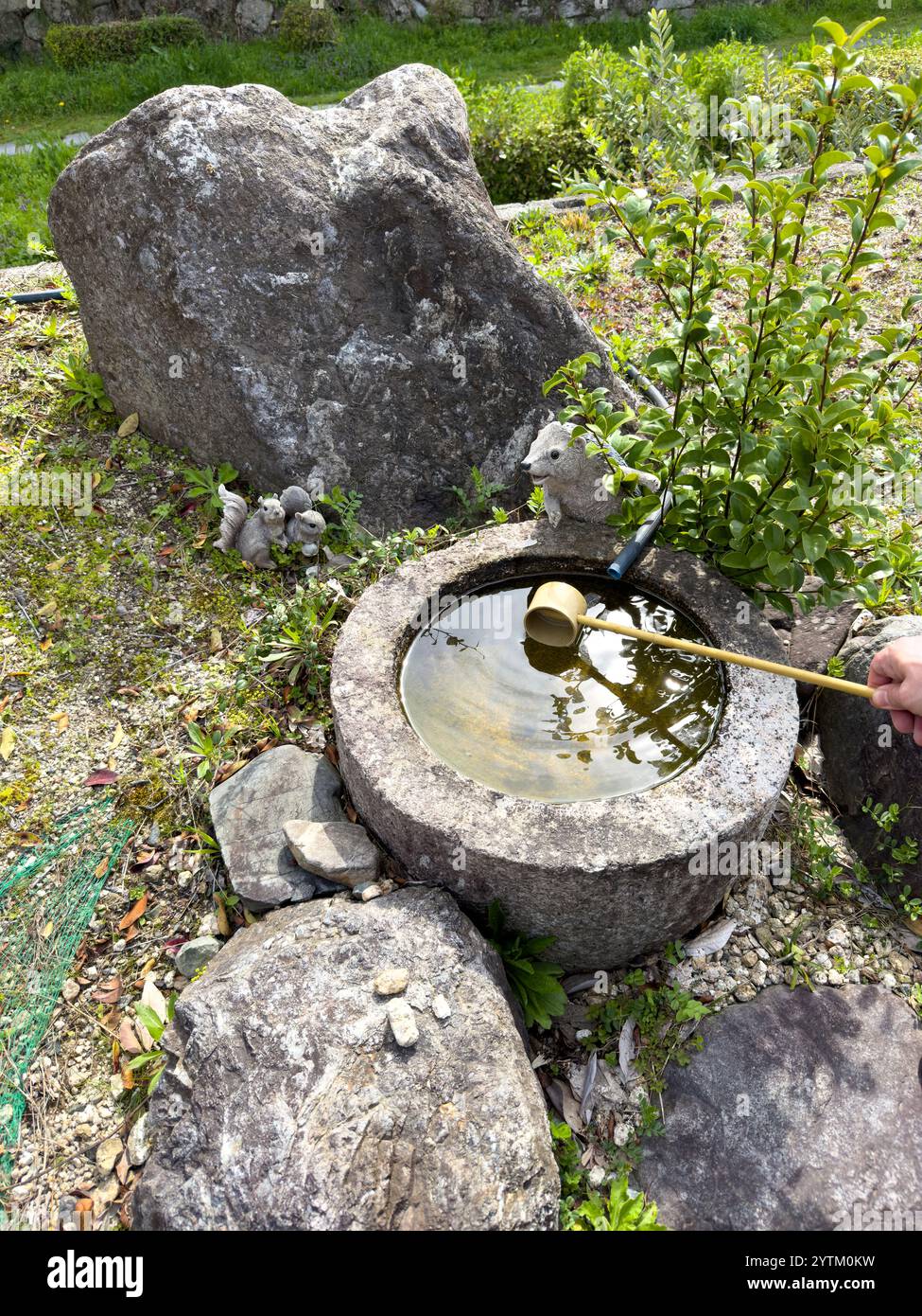 Τsukubai a traditional stone water basin used for ritual cleansing in a ...