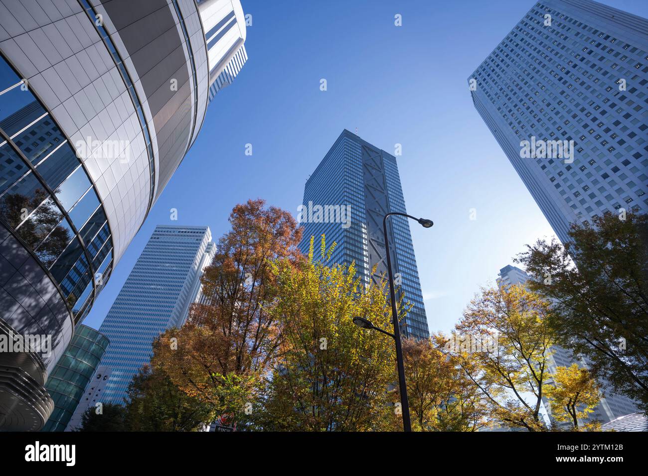 Street view of Shinjuku skyscrapers, Tokyo, Japan. Tokyo skyscrapers ...