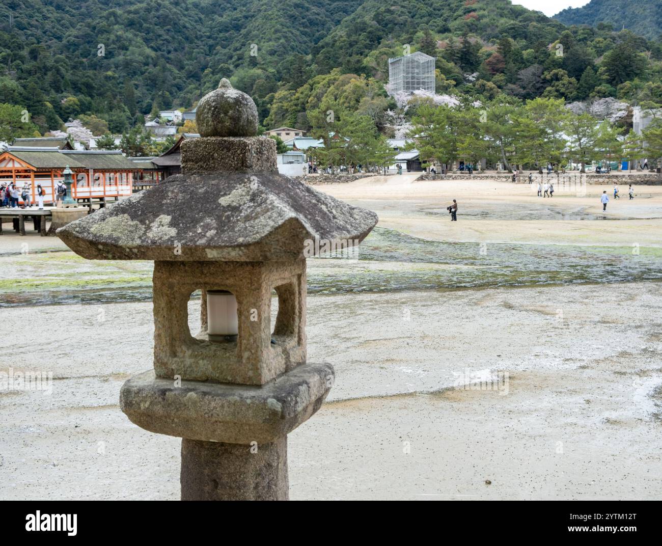 Japan, Miyajima island. Stone lantern closeup view, blur Shinto temple ...