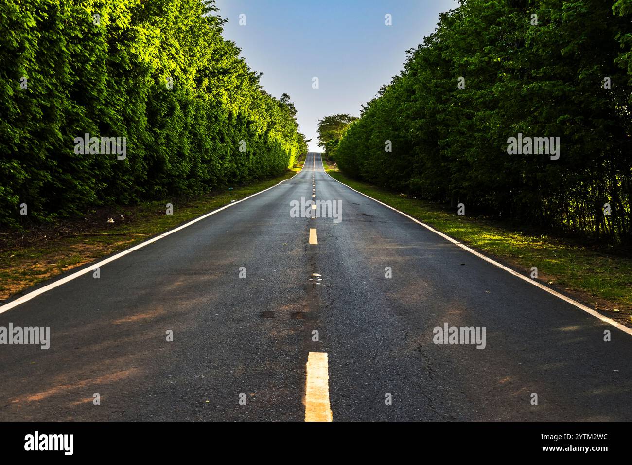 Empty asphalt roadway in rural area in Brazil Stock Photo - Alamy