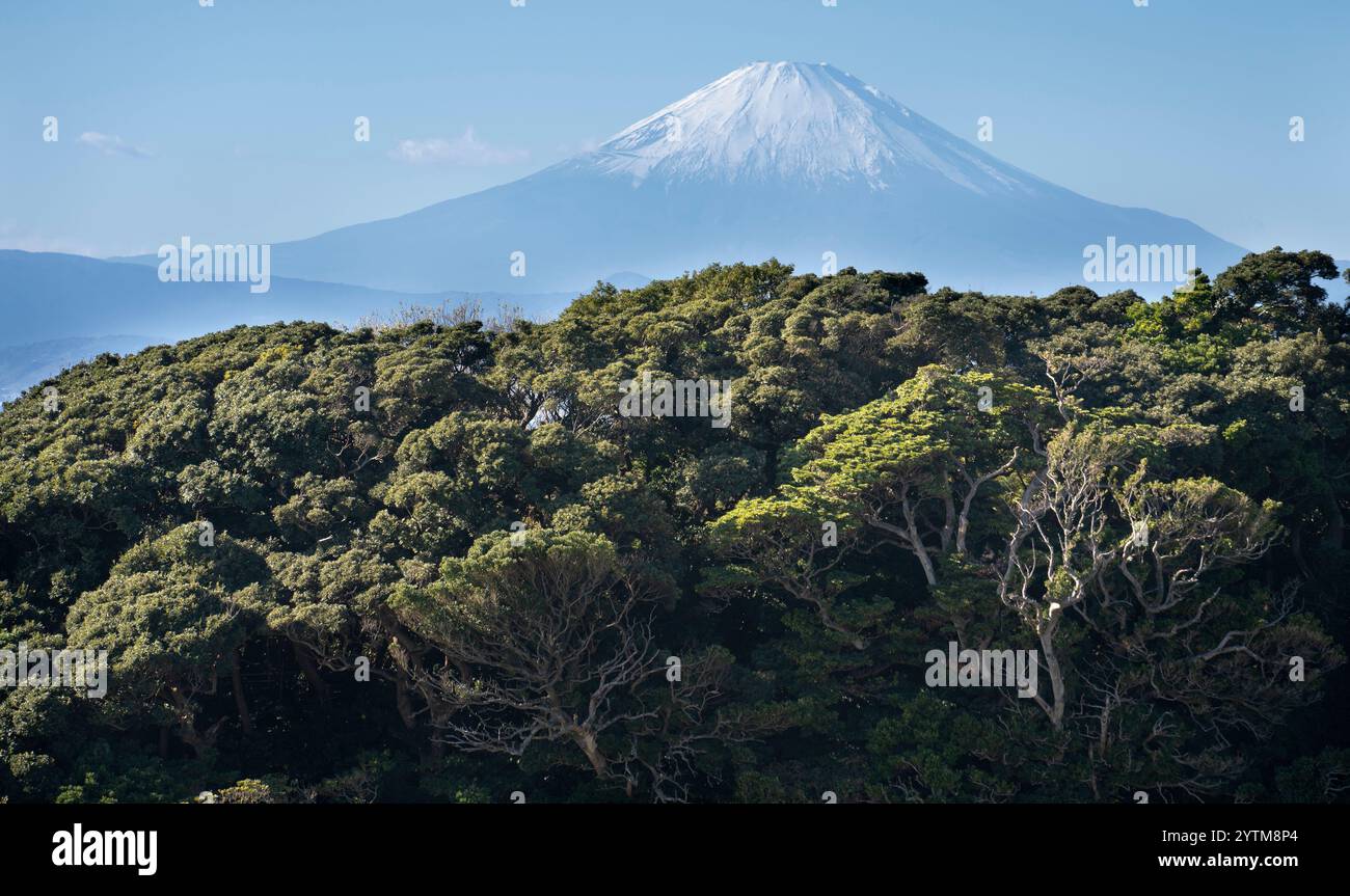 Fuji mountain panoramic view under dramatic blue sky and beautiful ...