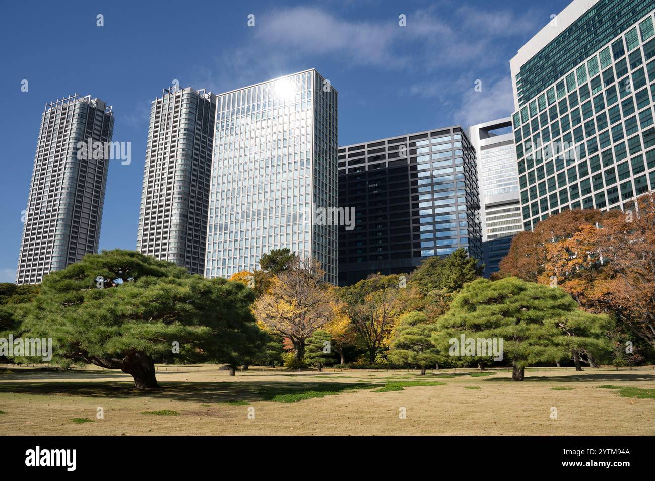 Autumn leaves in Hamarikyu Gardens, Tokyo, Japan. Hamarikyu Garden is ...