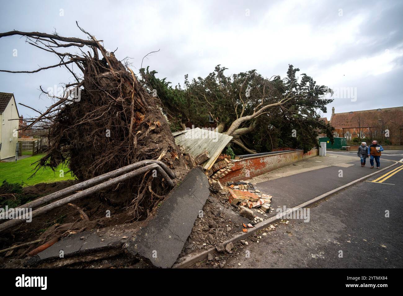 Burnham-on-Sea in Somerset where a tree has fallen on homes as Storm ...