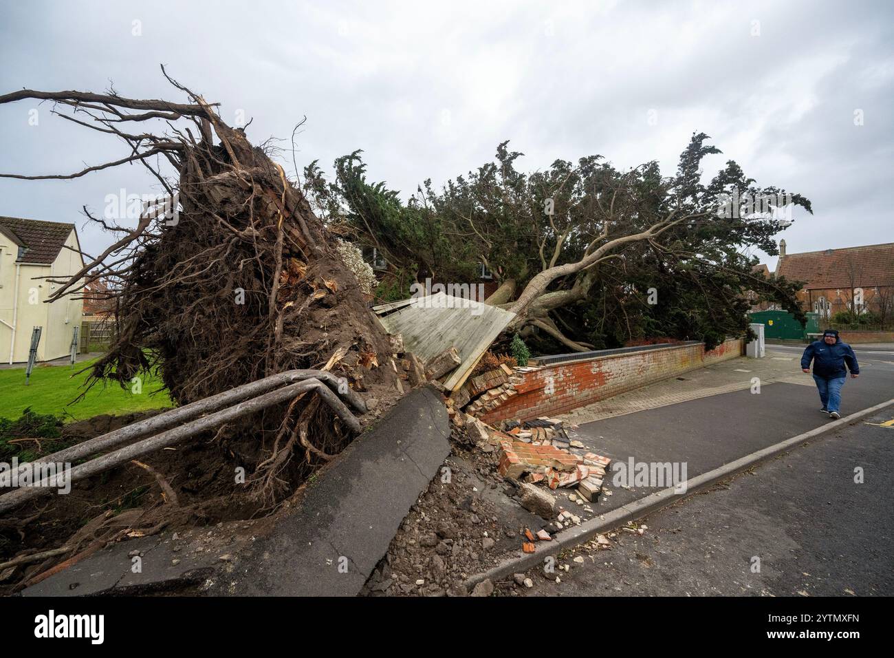 Burnham-on-Sea in Somerset where a tree has fallen on homes as Storm ...