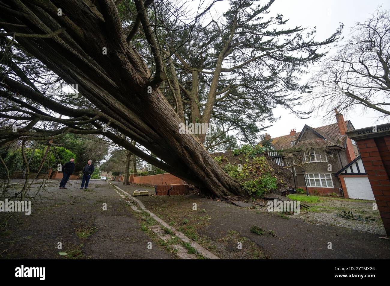 Rectory Road in Burnham-on-Sea in Somerset where a tree has fallen ...